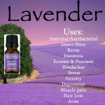 12 Amazing Benefits and Uses Of Lavender Essential Oil [Infographic]