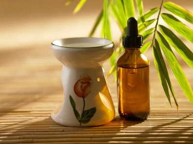 Home Remedies To Get Rid Of Mosquito Bites | Natural Repellents